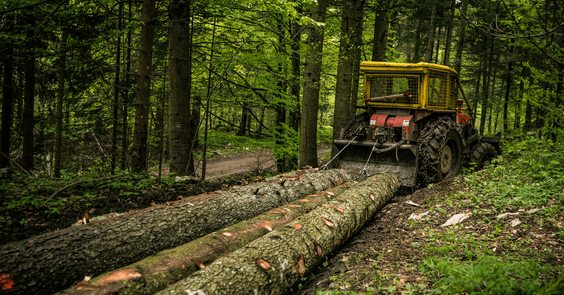 Heavy Equipment Used in Logging Operations - SAN Forestry
