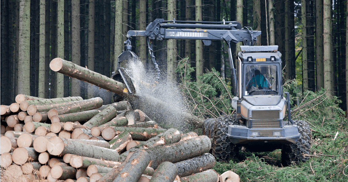 Heavy Equipment Used in Logging Operations - SAN Forestry