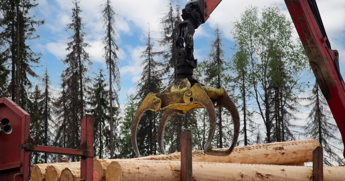 The Evolution of Logging Equipment - SAN Forestry