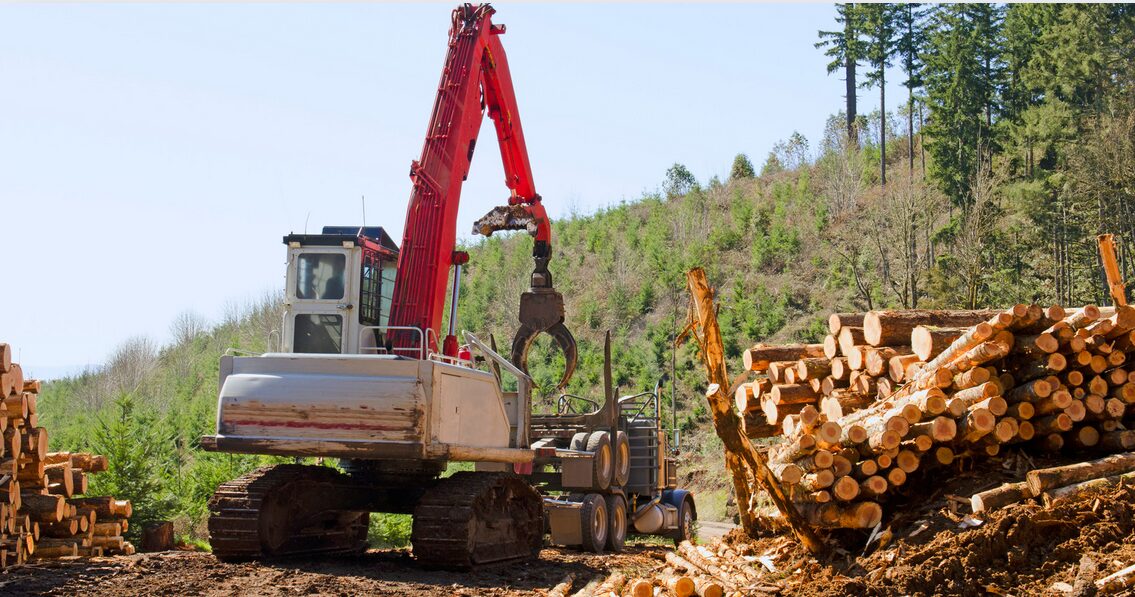The Evolution of Logging Equipment - SAN Forestry