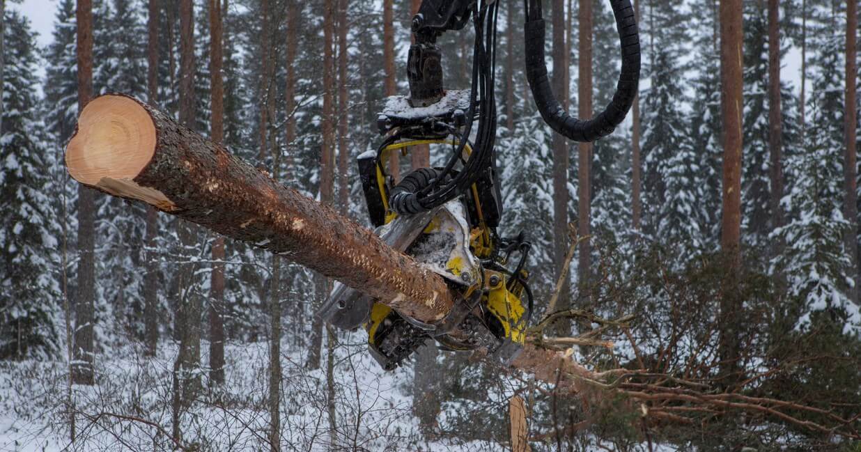 A Comprehensive Guide to Feller Bunchers - SAN Forestry