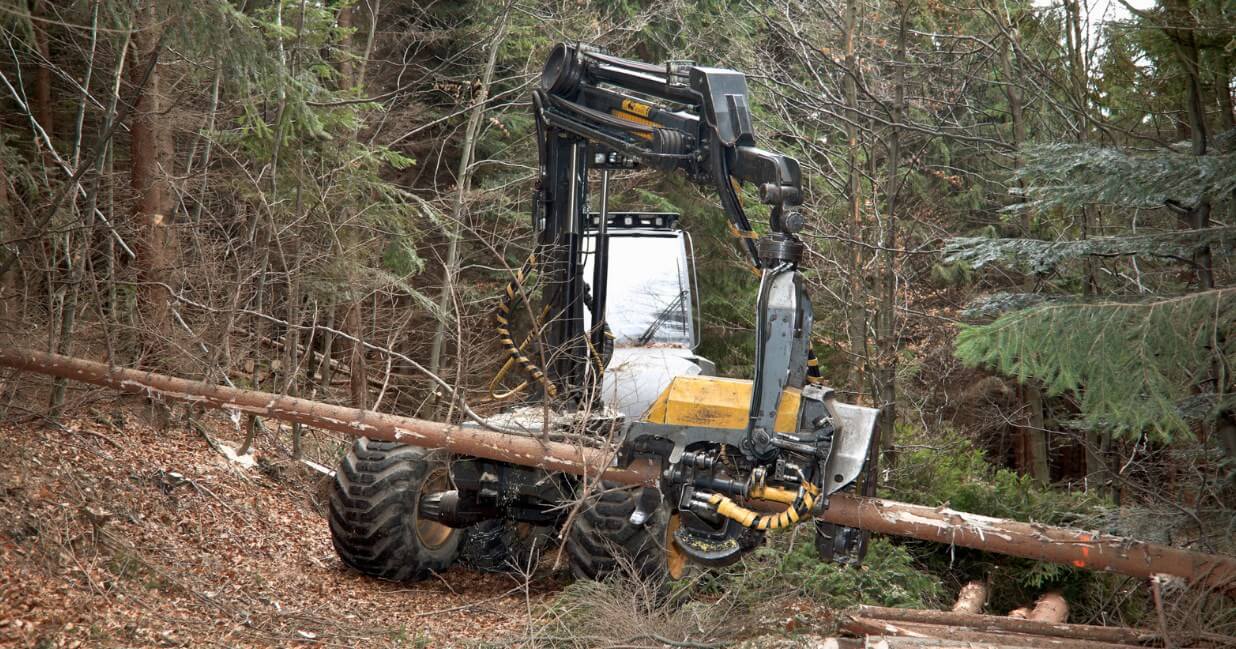 A Comprehensive Guide to Feller Bunchers - SAN Forestry