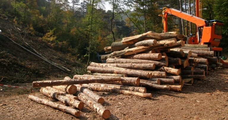 Deep Dive into the Harvester Machine: Revolutionizing Canadian Logging
